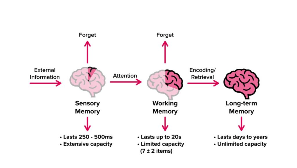 Cognitive Load—Rahasia Otak Ringan & Pentingnya Dalam Hidup