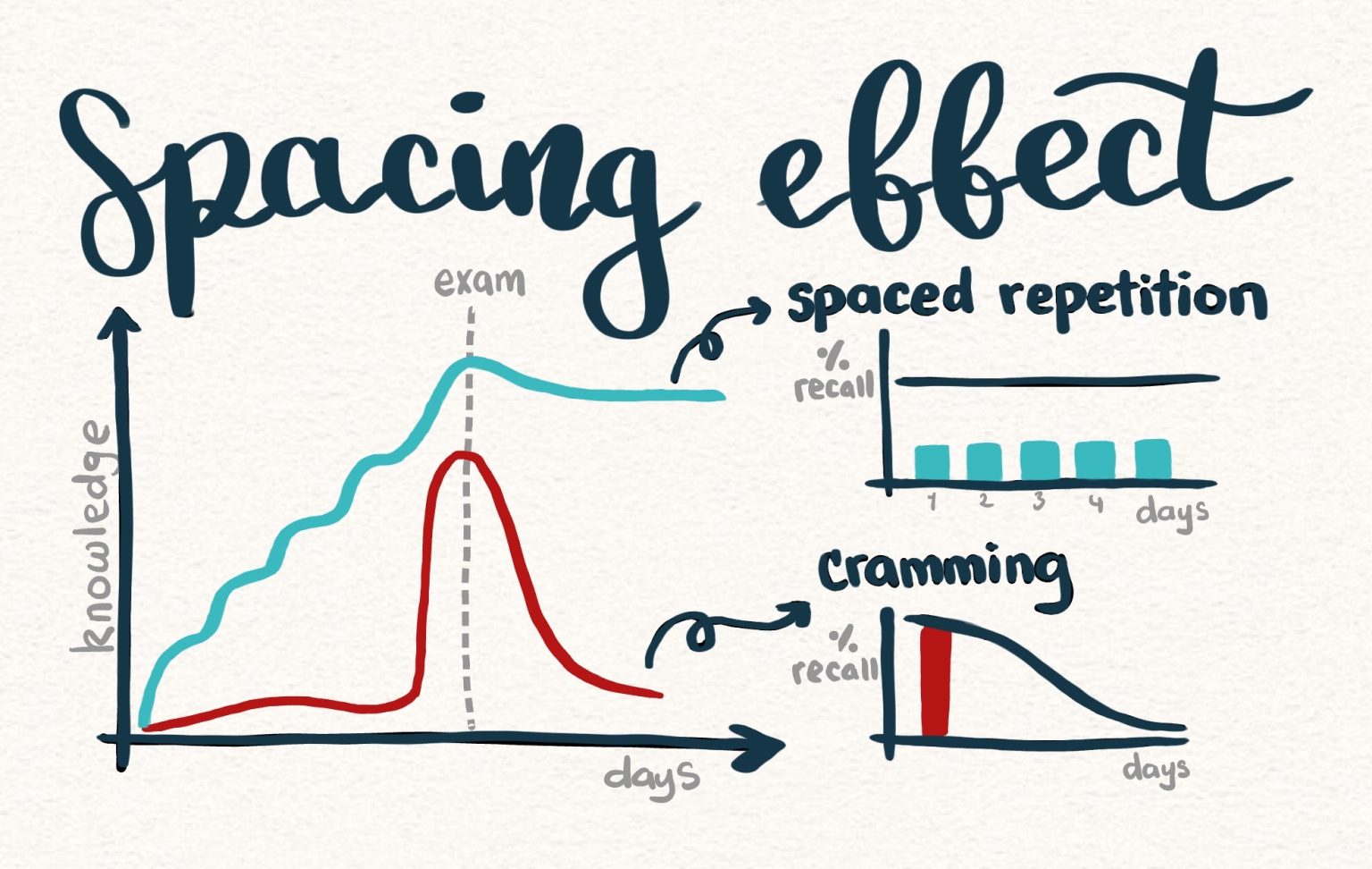 Spaced Repetition: Strategi Belajar Efektif untuk Mahasiswa